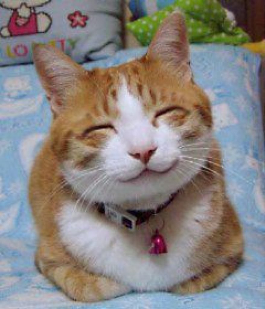 How To Wrangle Json Data In R With Jsonlite Purr And Dplyr Robot Wealth